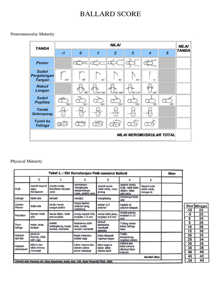 Ballard Score | PDF