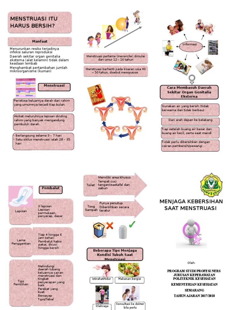 Leaflet Disminore | PDF