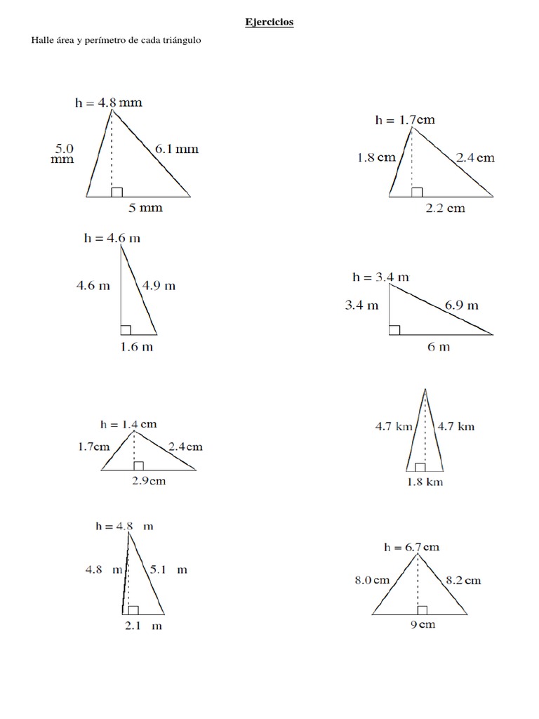 Ejercicios Area y Perimetro Triangulo | PDF