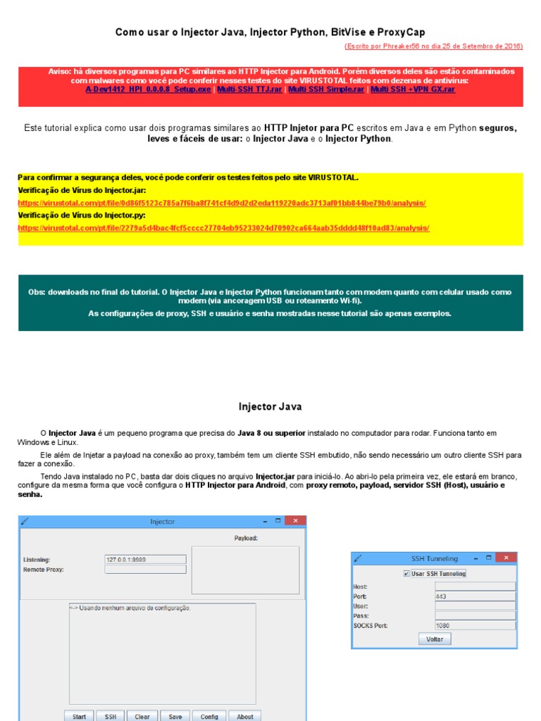 Tutorial Completo Injector Java e Python para PC | PDF | Cápsula segura ...