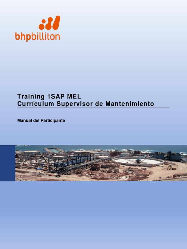 Sap Manual | PDF | Planificación | Programación de computadoras