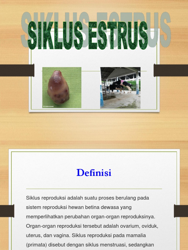 Mekanisme Siklus Estrus pada Sapi | PDF | Pengembangan Diri | Kesehatan ...