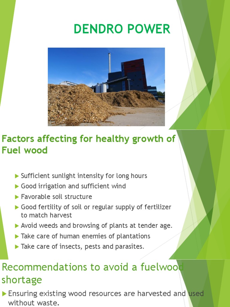 Dendro Power Basics | Biomass | Fuels