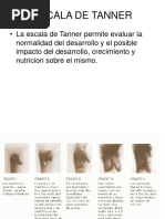Escala o Estadio Tanner | PDF | Pecho | Adolescencia