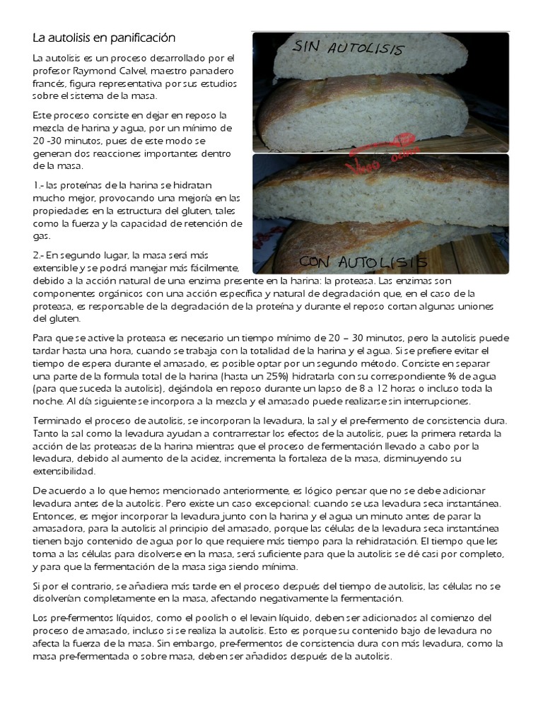 Autolisis en Panificación: Proceso y Beneficios | PDF | Levadura | Panes