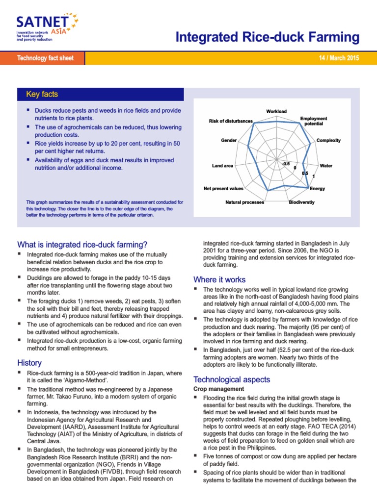 SATNET-FS14-Rice-duck Farming PDF | PDF | Rice | Organic Farming