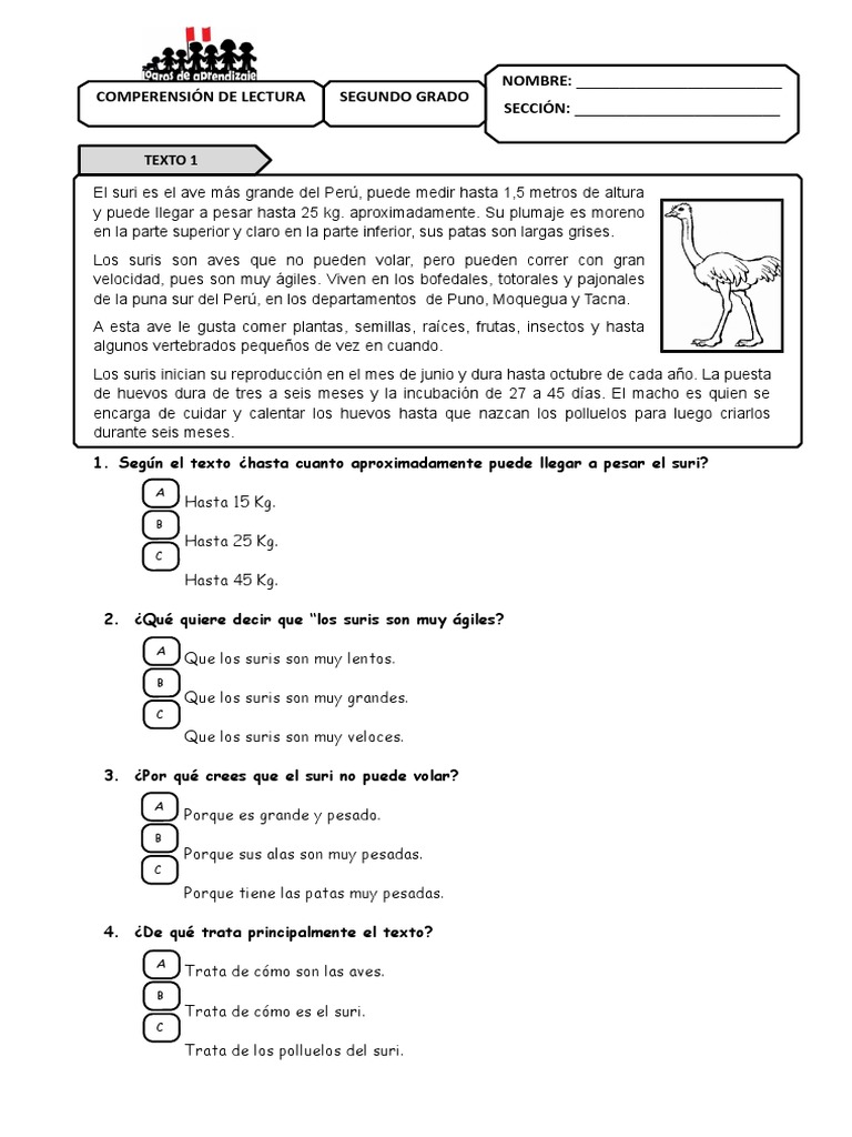 El Suri Es El Ave Más Grande Del Perú | PDF | Burro | Aves