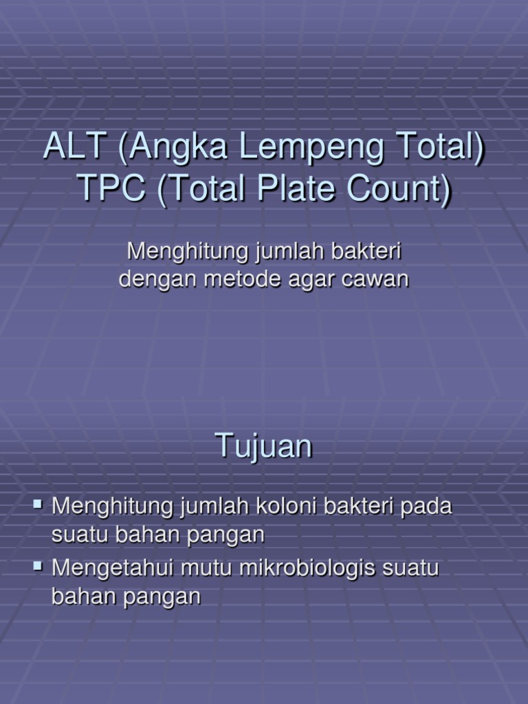 ALT (Angka Lempeng Total) | PDF