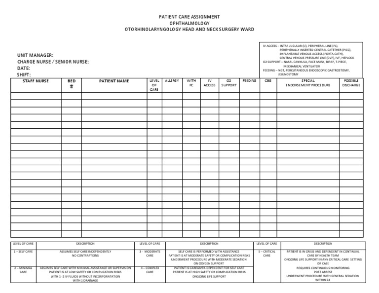 Patient Care Assignment | PDF | Intravenous Therapy | Patient