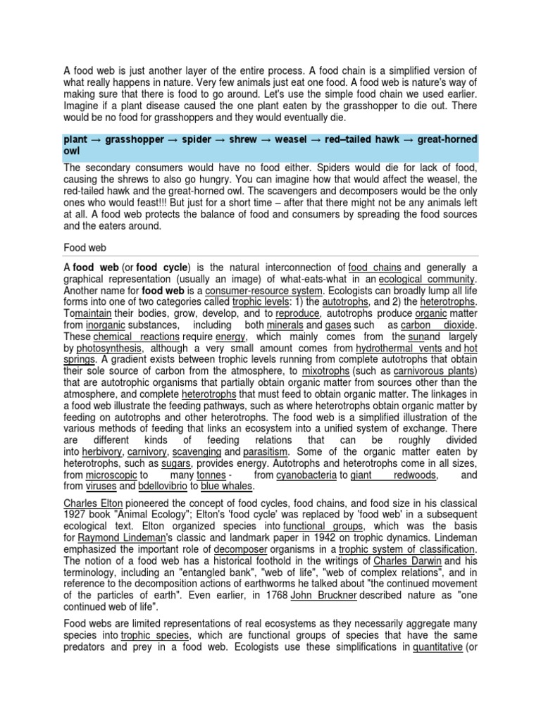 Food Web | PDF | Food Web | Predation