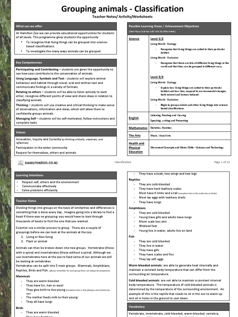 Animals Classification Teacher Notes Activites and Worksheets | PDF ...