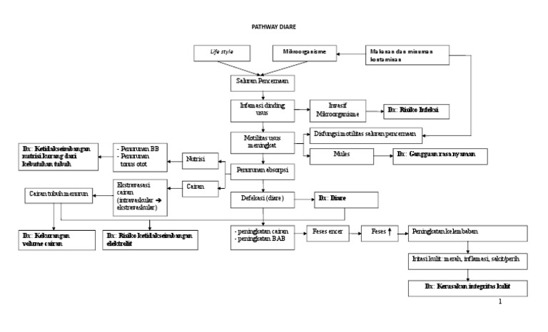 Pathway Diare 11 | PDF