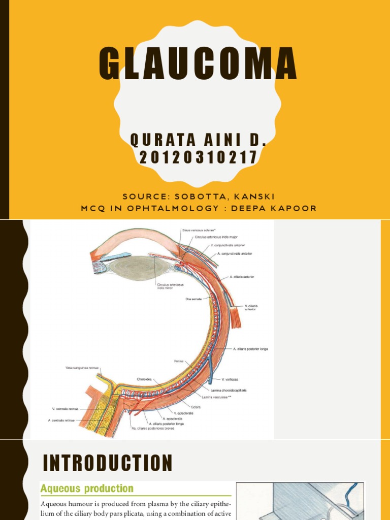Understanding Glaucoma: Self-Examination Guide | PDF