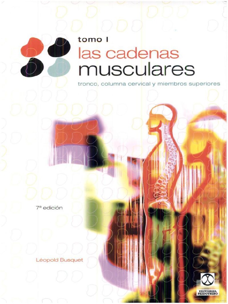 Las Cadenas Musculares - Busquet 1 PDF | PDF