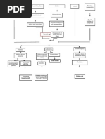 Pathway Anemia | PDF