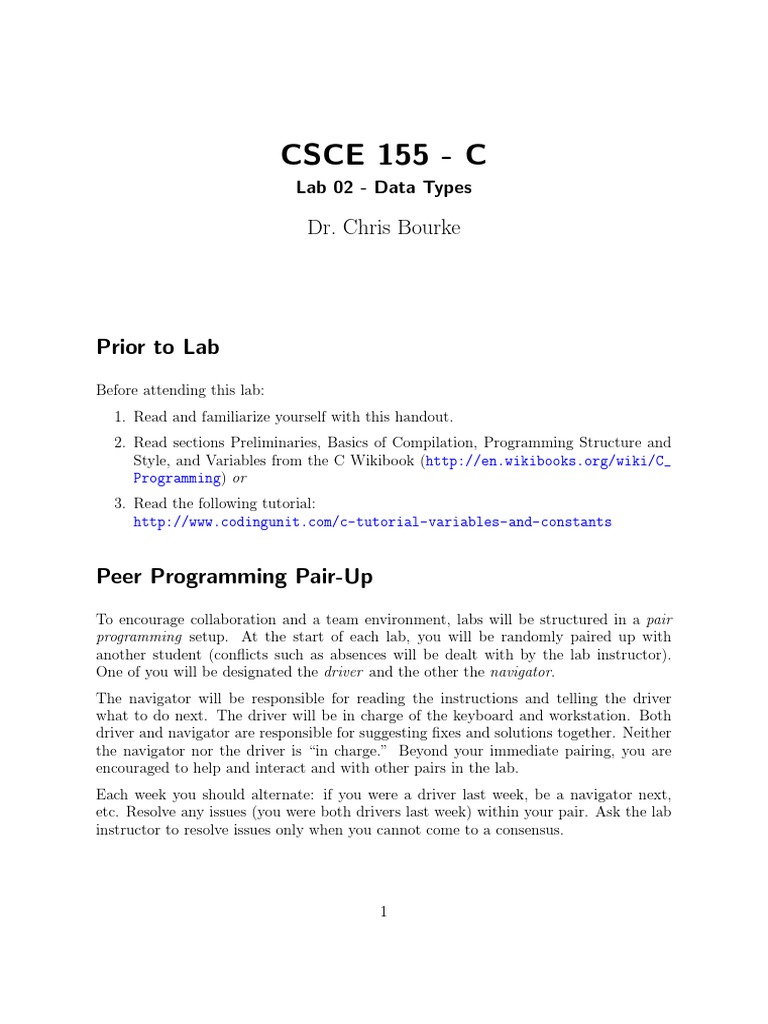 Lab02 Datatypes Pdf Pdf Command Line Interface Parameter Computer Programming