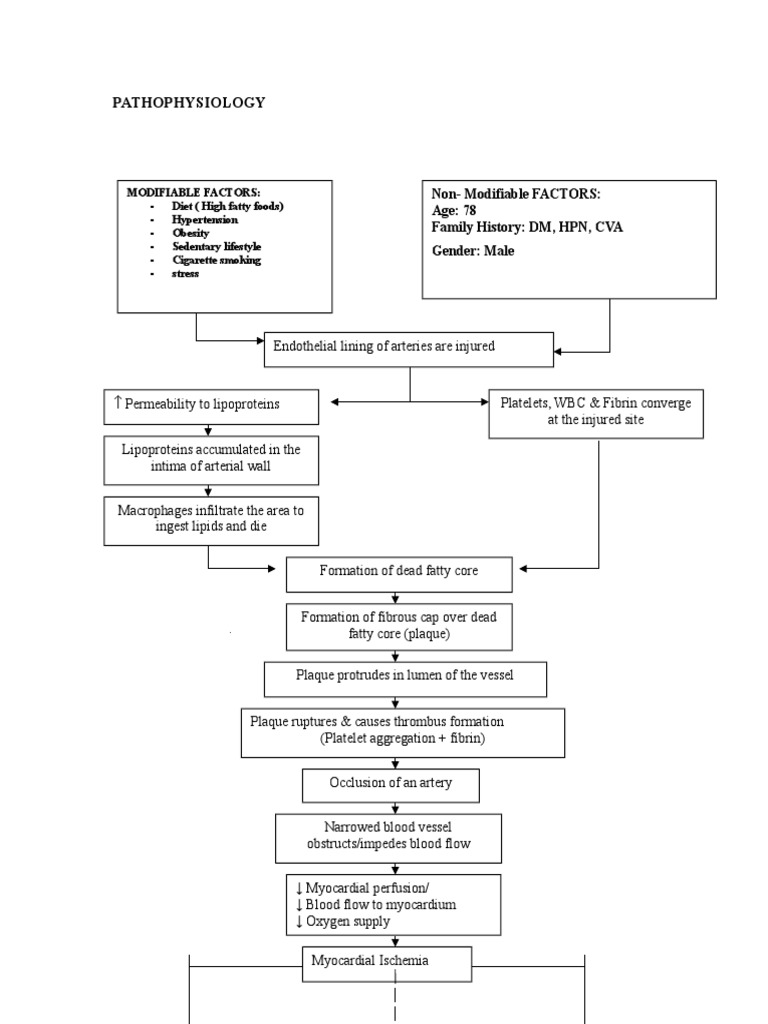 nstemi patho | Myocardial Infarction | Ischemia