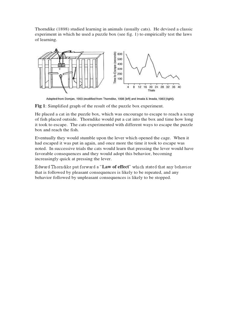 Thorndike | Learning | Psychological Concepts