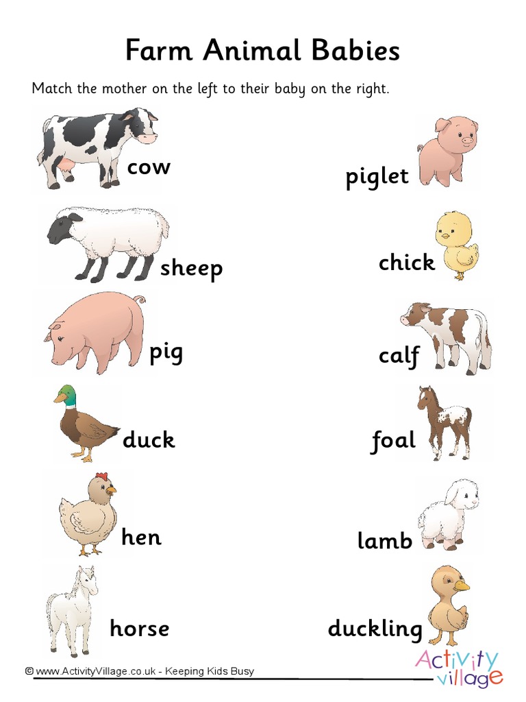 Farm Animal Babies Matchup Worksheet | PDF