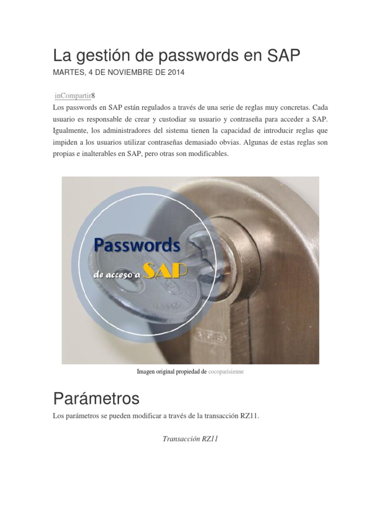 La Gestión de Passwords en SAP | PDF | Contraseña | Software