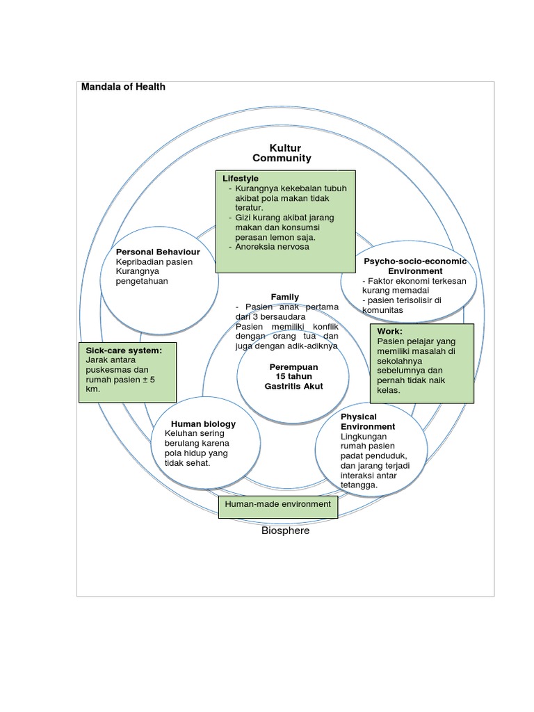 Mandala of Health | PDF