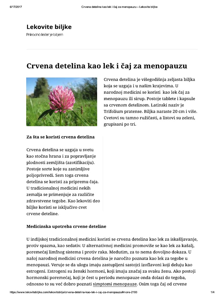 Crvena Detelina Kao Lek I Čaj Za Menopauzu - Lekovite Biljke PDF | PDF