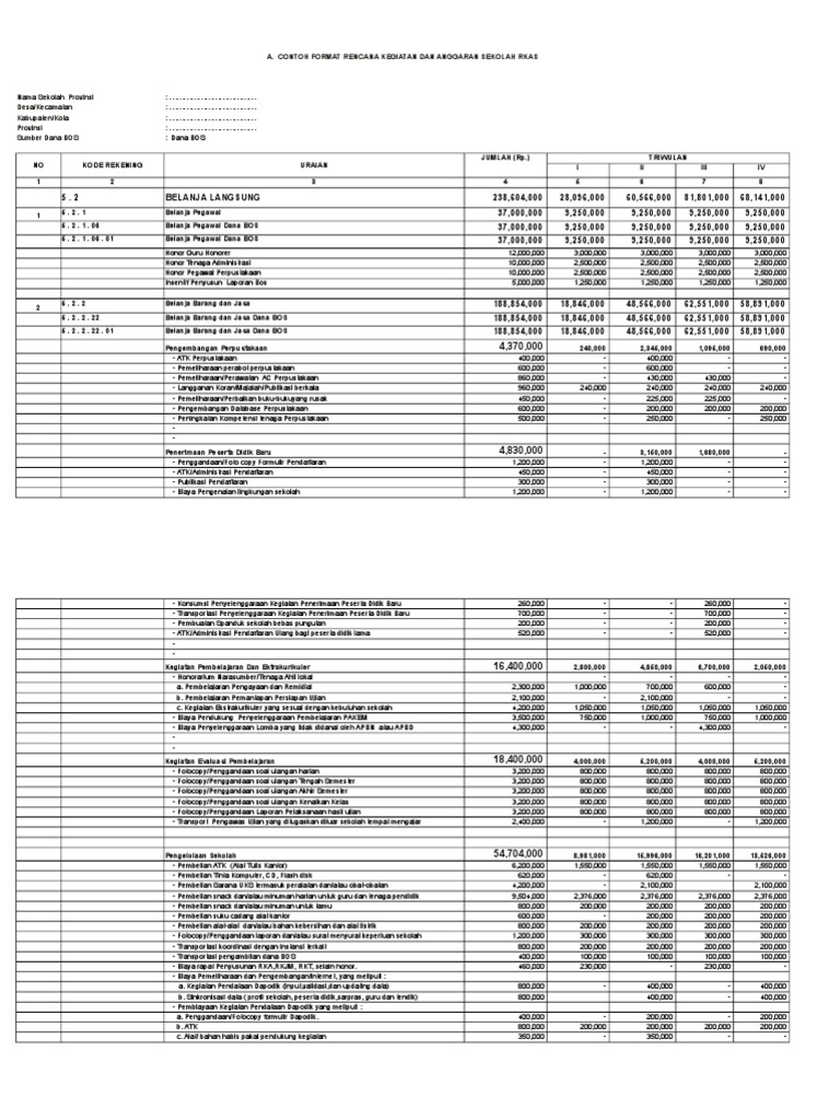 Contoh Pembuatan RKAS | PDF