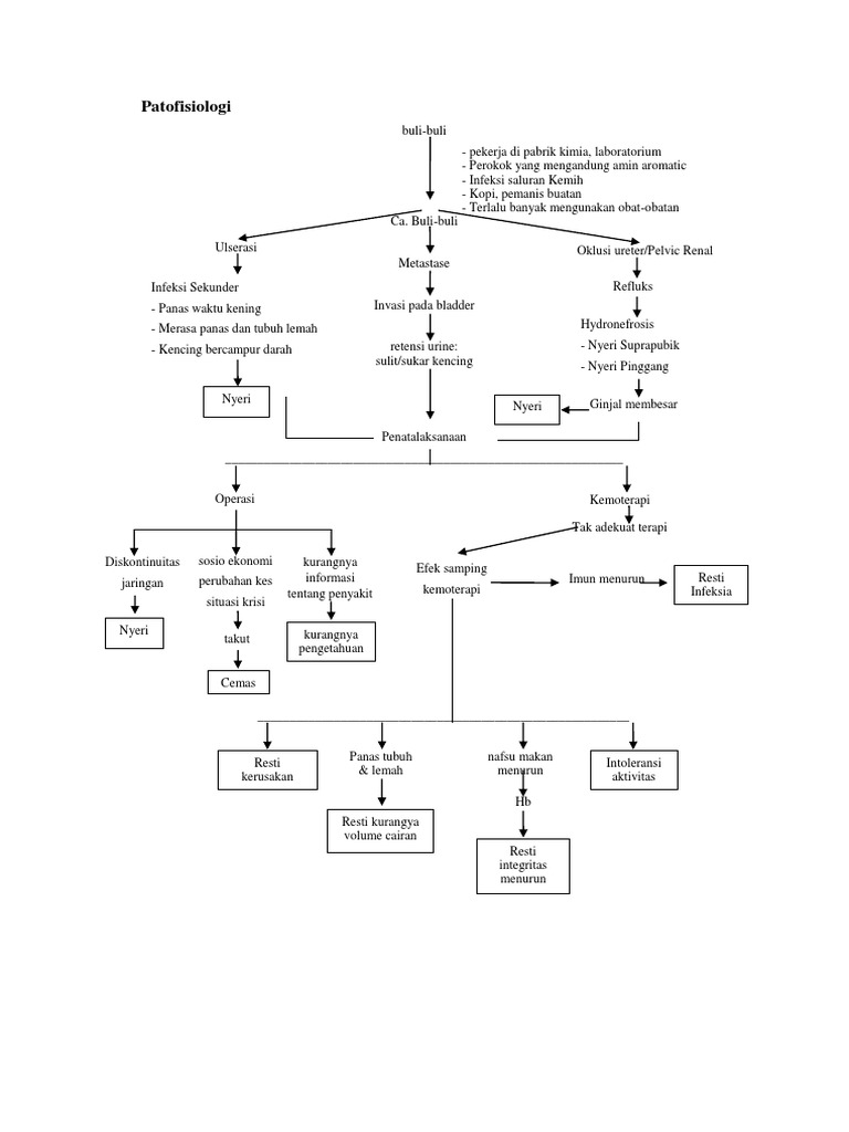 Woc Vesika Urinaria | PDF