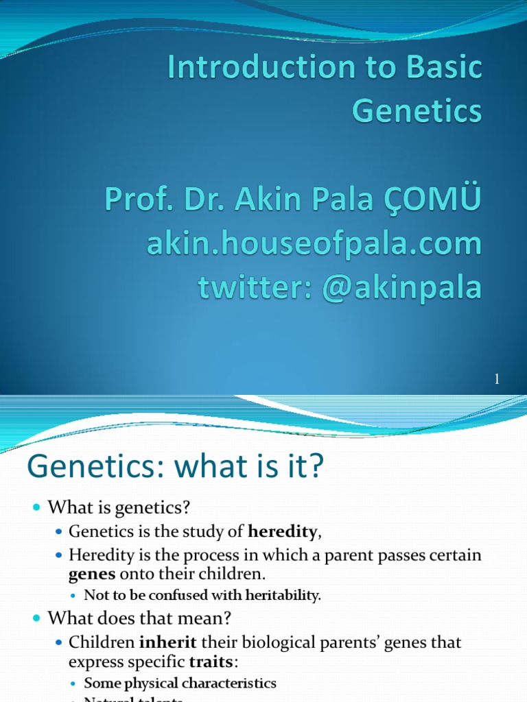 01 Introduction To Basic Genetics PDF | PDF | Allele | Zygosity