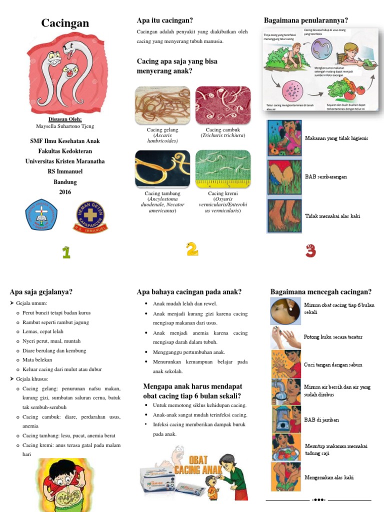 Leaflet Cacingan | PDF