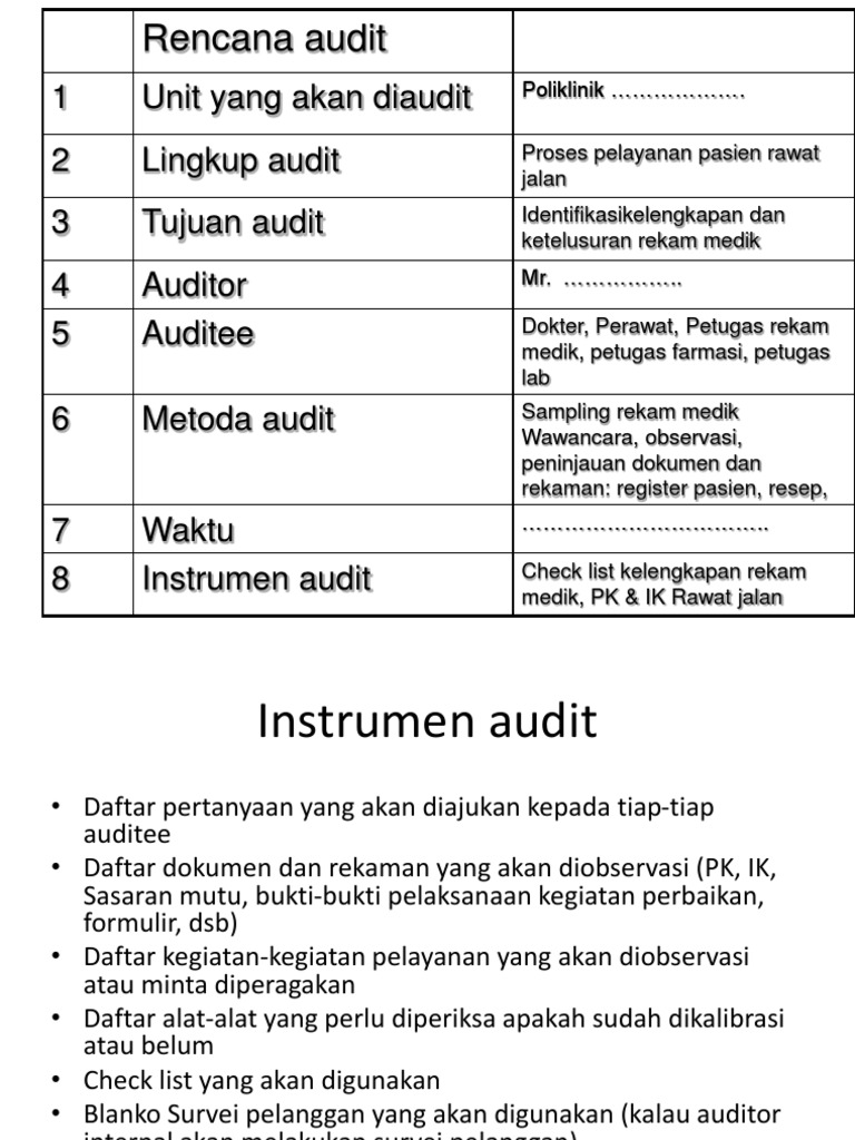 10 Form Audit Internal | PDF