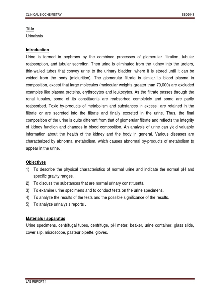 Lab Report 1 Urinalysis | PDF | Urine | Kidney