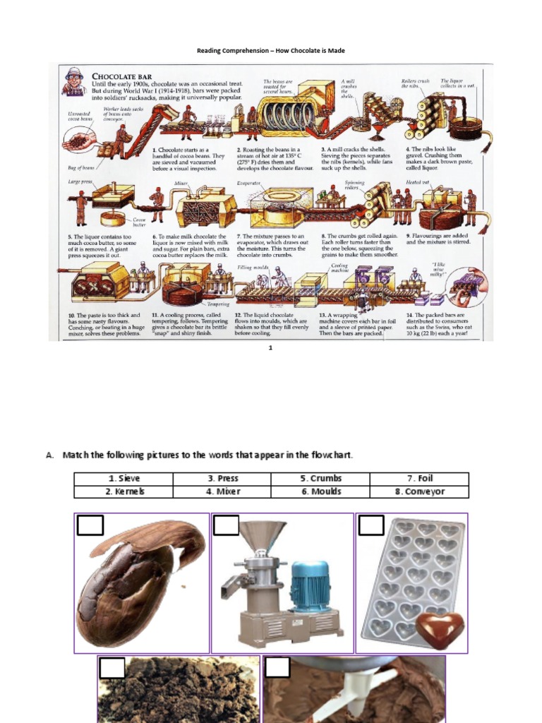 Reading Comprehension How Chocolate Is Made | PDF