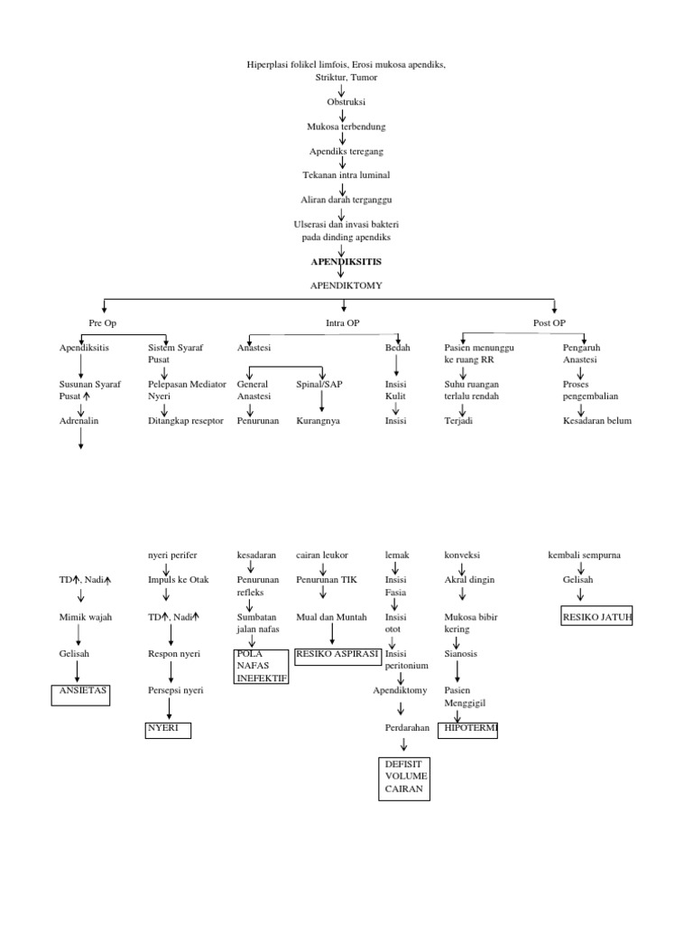 Pathway Apendisitis | PDF