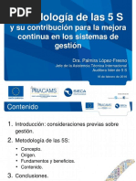 Modelo Informe Definitivo Auditoria Interna Externas Del Sistema-Gestion-de-Salud-Seguridad ...