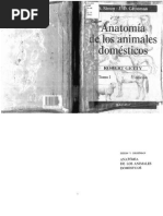 El Hombre Que Se Convirtió en Perro - Osvaldo Dragún | PDF | Teatro