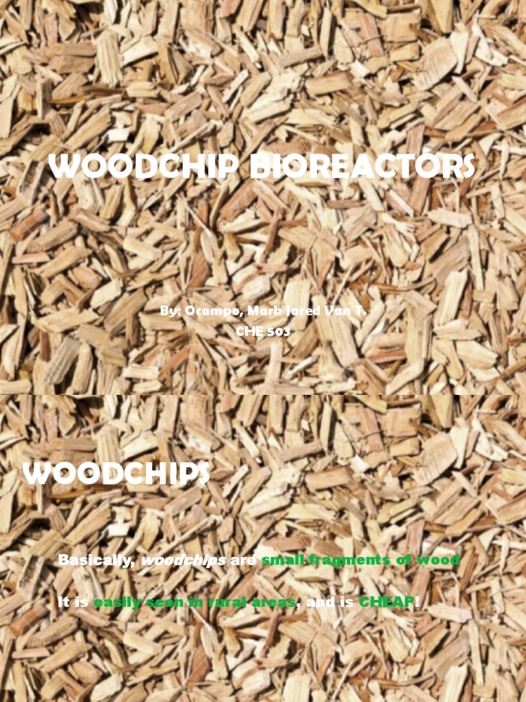 Woodchip Bioreactors | PDF | Wetland | Water