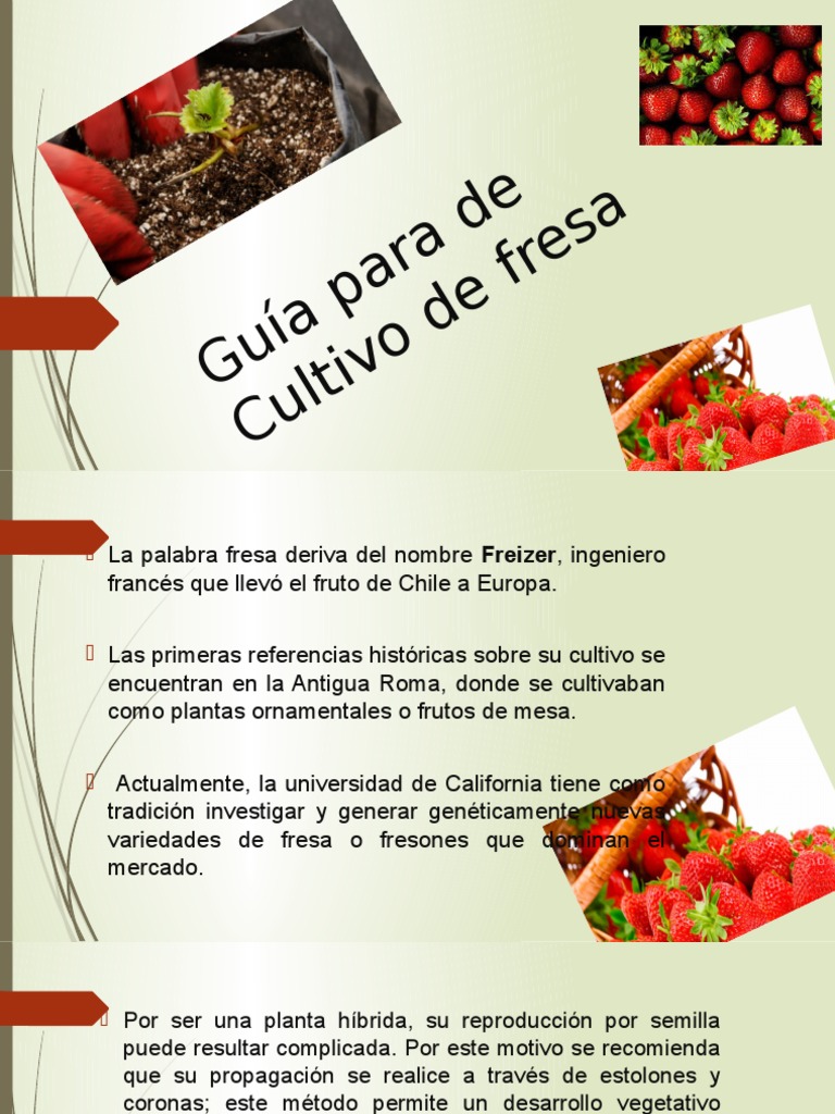 FRESA | PDF | fresa | Flores