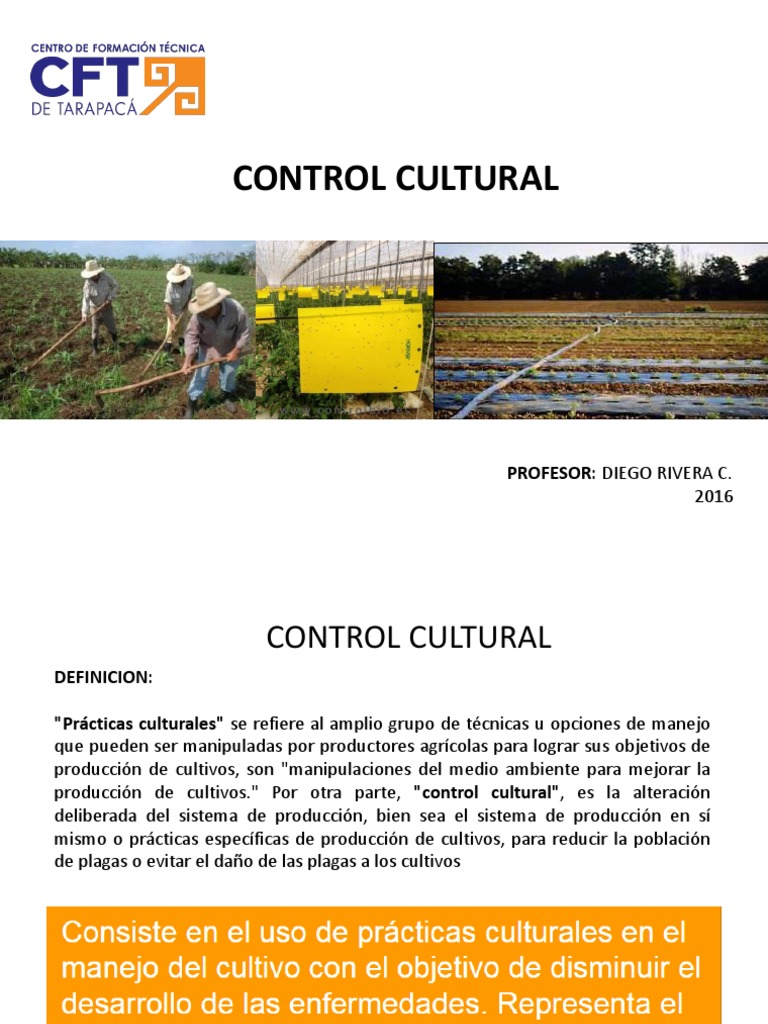 Control Cultural | PDF | Plaga (organismo) | Insectos