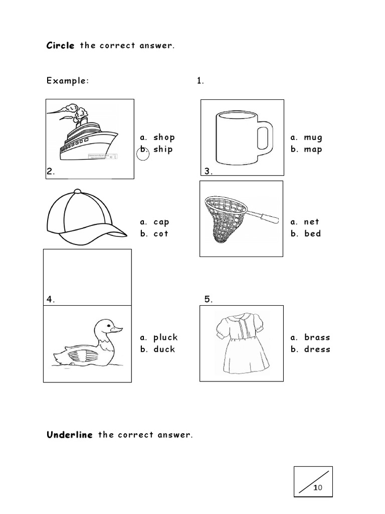 Example: 1.: Circle The Correct Answer | PDF | Leisure | Foods