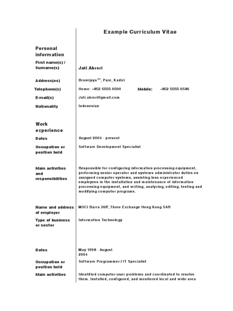 Example Curriculum Vitae | PDF | Competence (Human Resources) | Programmer
