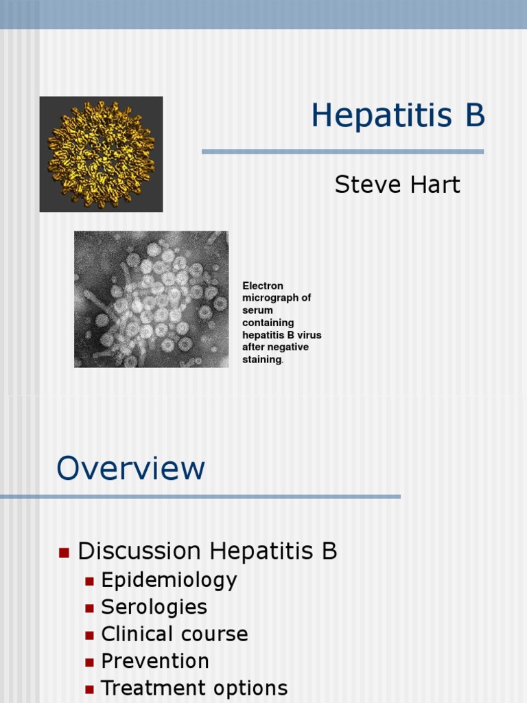 Hepatitis B: Steve Hart | Download Free PDF | Hepatitis B | Hepatitis