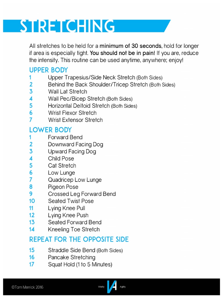 Full Body Stretching Routine PDF | PDF