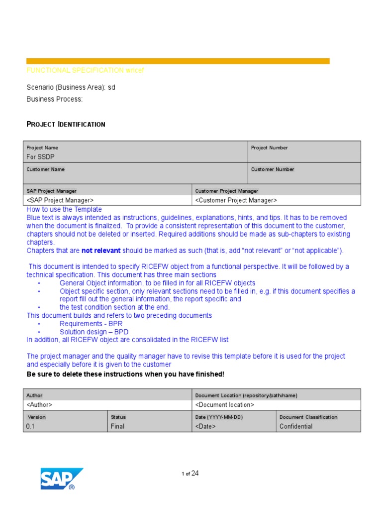 RICEFW Functional Specification Template | PDF | Business Process | Specification (Technical ...
