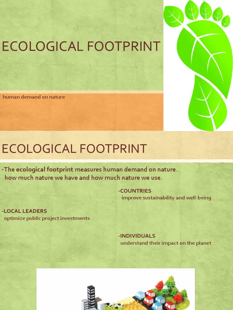 Ecological Footprint | PDF | Ecology | Environmental Social Science