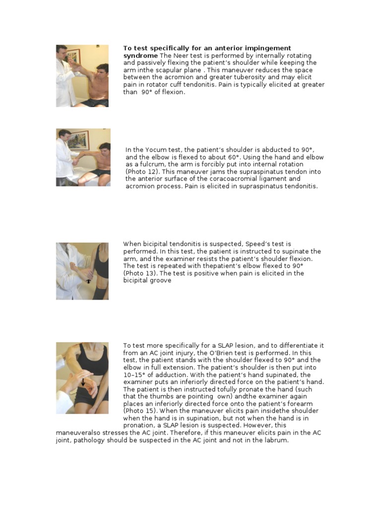 Shoulder Test | Anatomical Terms Of Motion | Shoulder
