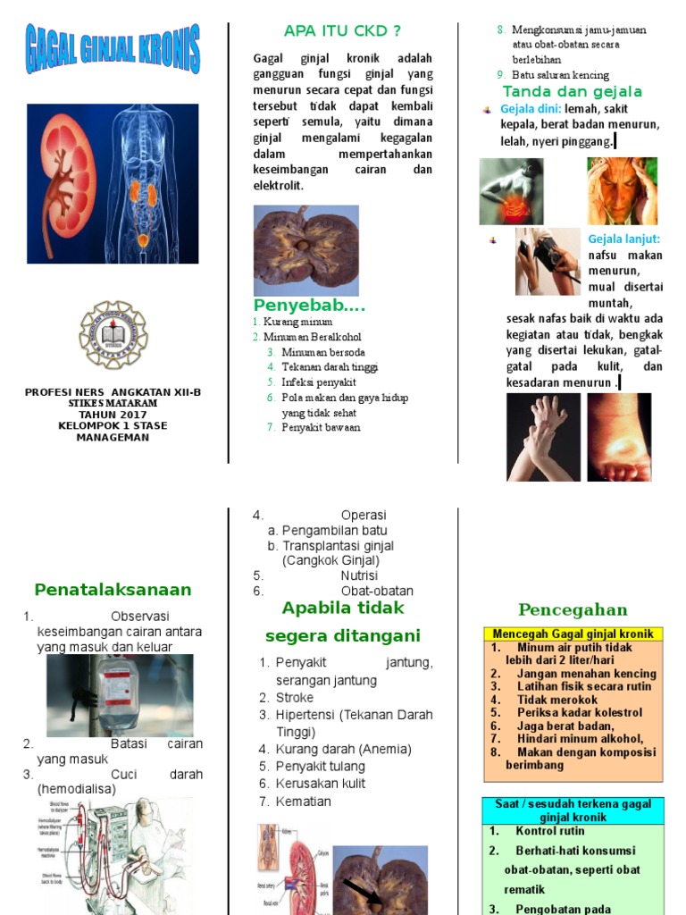 CKD Leaflet | PDF | Kesehatan Holistik