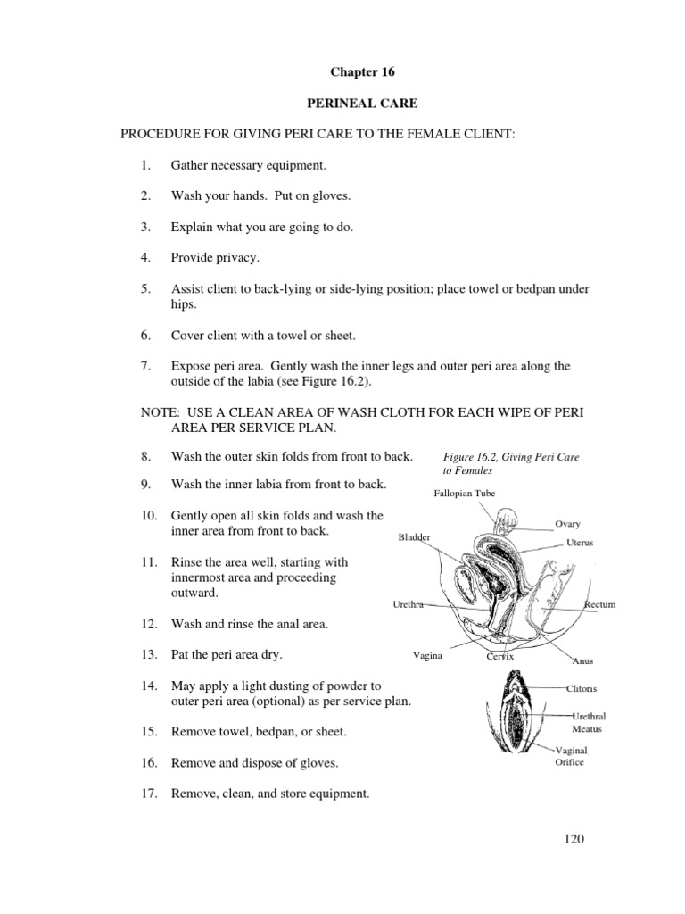 Perineal Care: Figure 16.2, Giving Peri Care To Females | PDF | Vagina ...