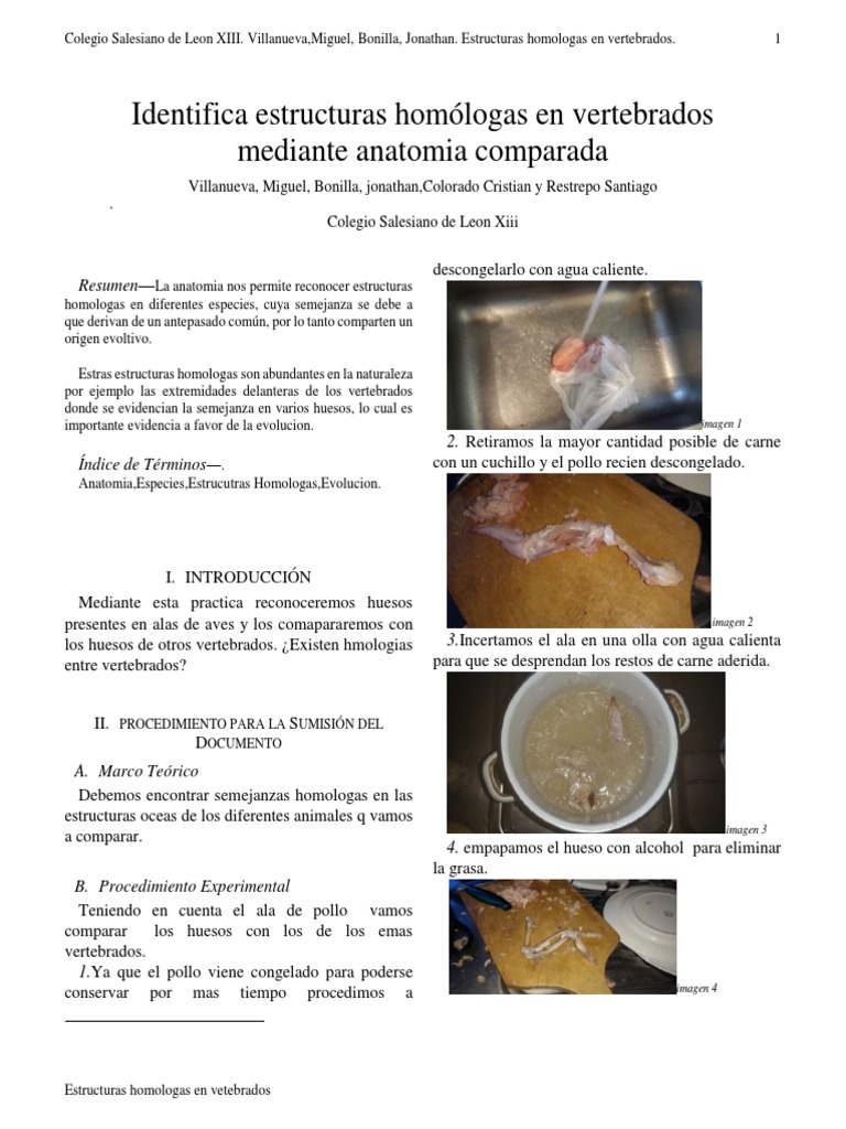 Articulo Cientifico (Estructuras Homologas) | PDF | Homología (biología ...