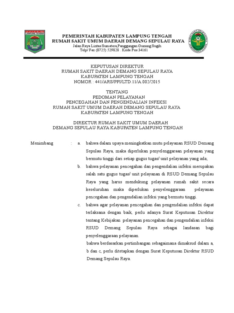 SK Pedoman Pelayanan PPI | PDF